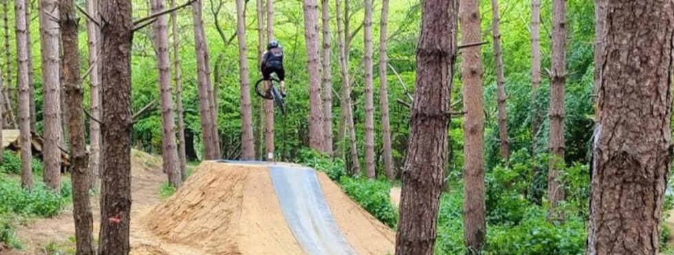 10 Things You Should Know Before Visiting Twisted Oaks Bike Park ...